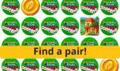 Memory Matching Game Online for free - Find a pair!